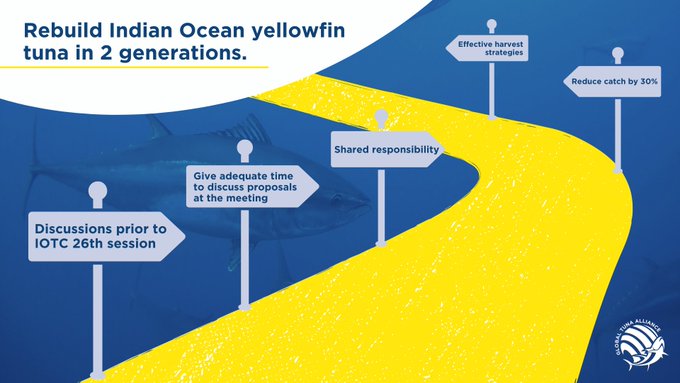 RFMO Engagement - Global Tuna Alliance
